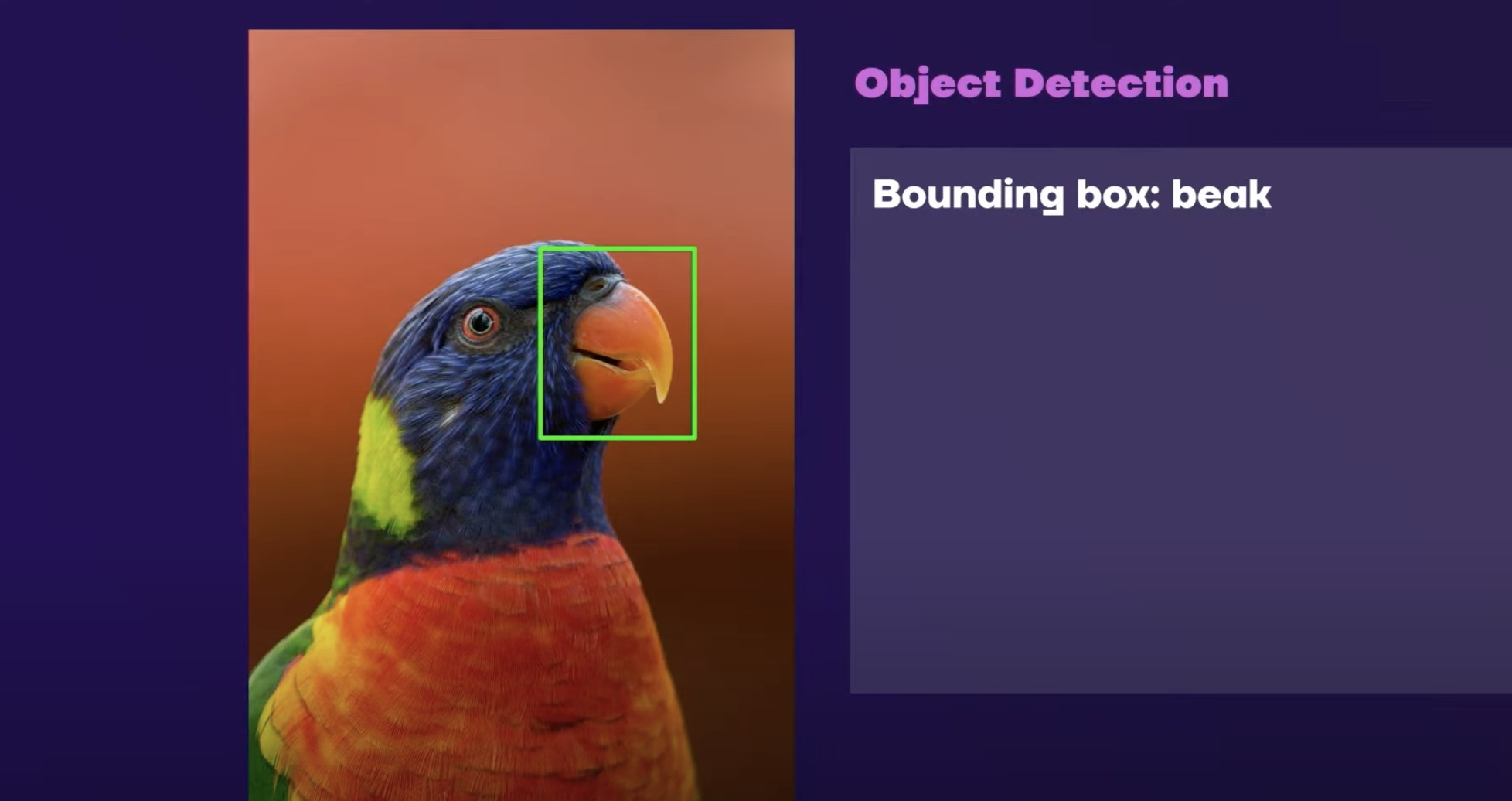 Moondream AI | Advanced Visual Language Models